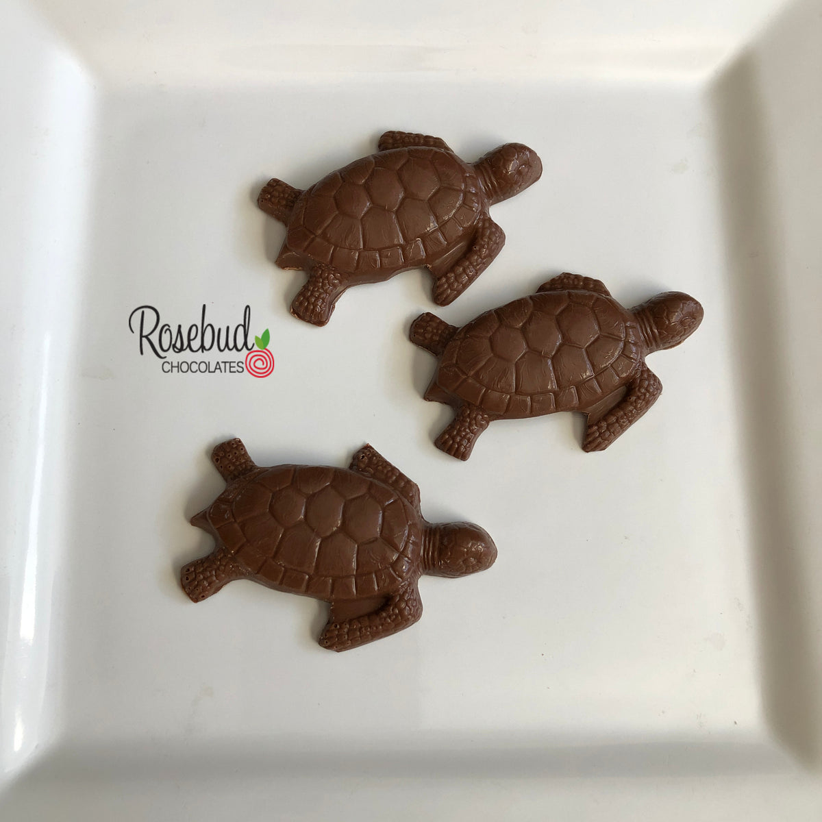 12 SEA TURTLE Chocolate Candy Party Favors – Rosebud Chocolates