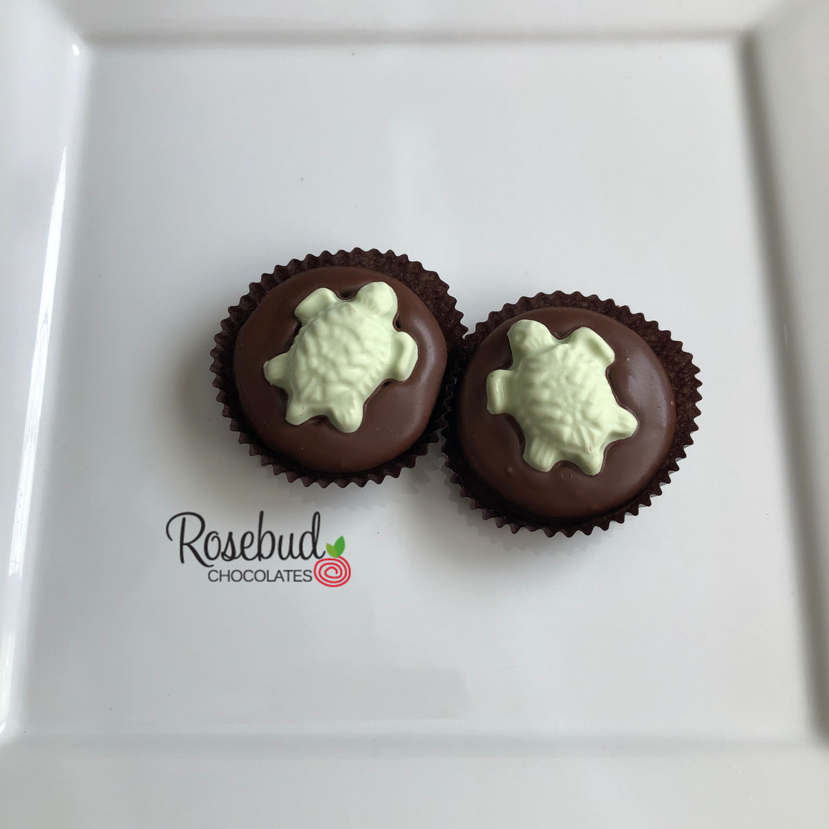 12 TURTLE Chocolate Covered Oreo Cookie Candy Party Favors – Rosebud ...