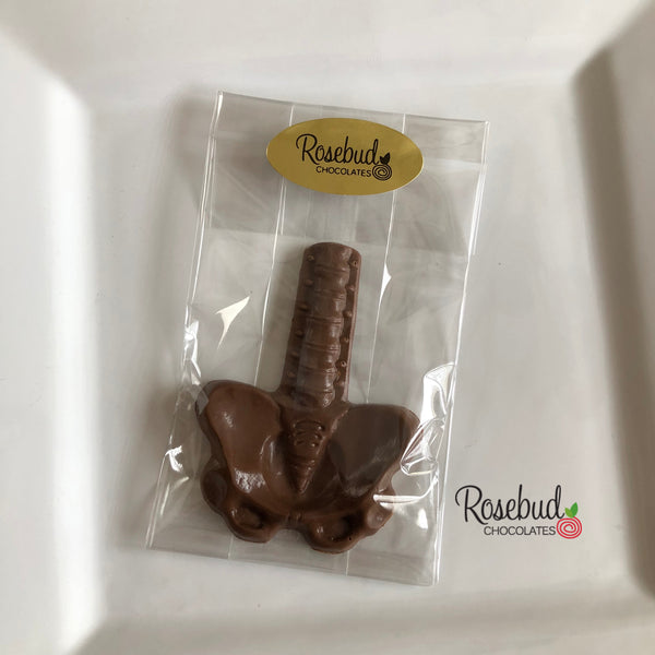 8 SPINE & PELVIC BONE Chocolate Candy Party Favors – Rosebud Chocolates