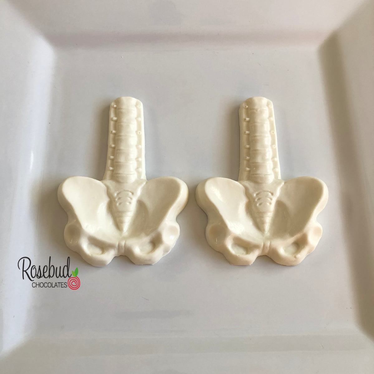 8 SPINE & PELVIC BONE Chocolate Candy Party Favors – Rosebud Chocolates