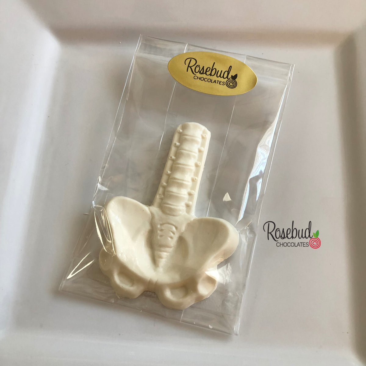 8 SPINE & PELVIC BONE Chocolate Candy Party Favors – Rosebud Chocolates