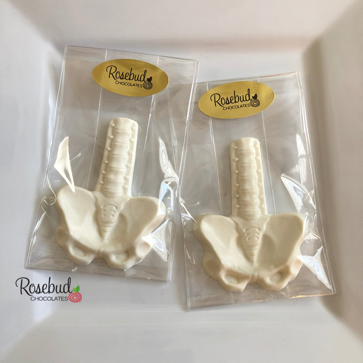 8 SPINE & PELVIC BONE Chocolate Candy Party Favors – Rosebud Chocolates